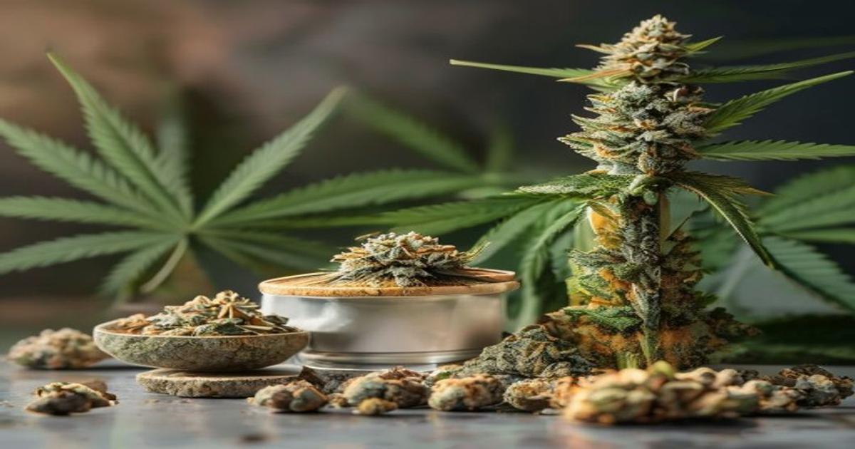 Cannabis Meets Mushrooms: 2026's Adaptogen Wellness Boom | Budpedia